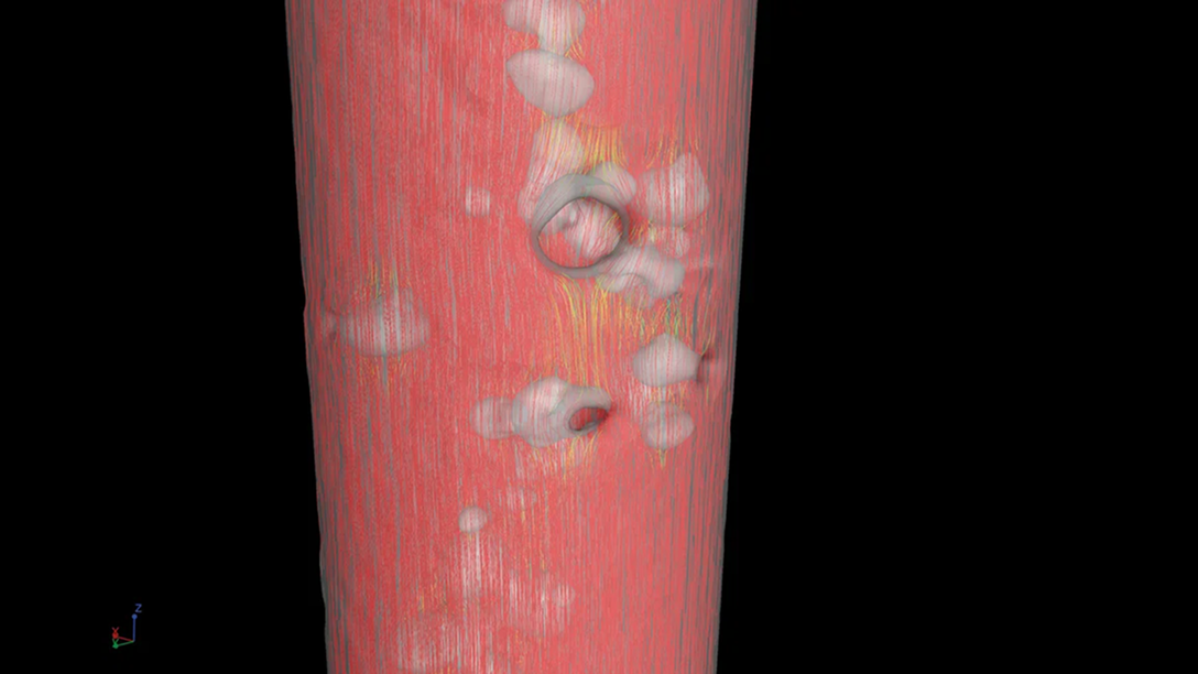 Transport Phenomena Simulation - Add-on modules - Products